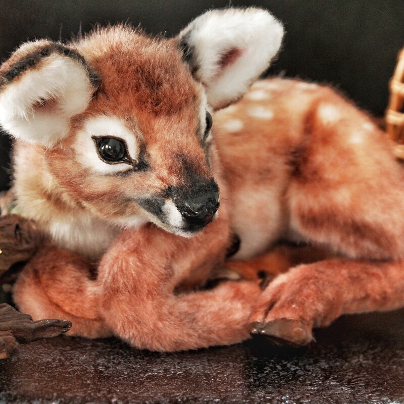 Realistic Deer - Etsy
