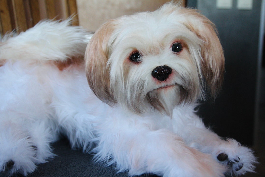 Realistic Shih Tzu Dog, Soft Stuffed Dog, Realistic Dog, Toy Dog Puppy ...