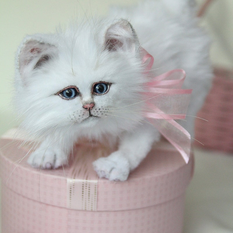 White Kitten - Etsy