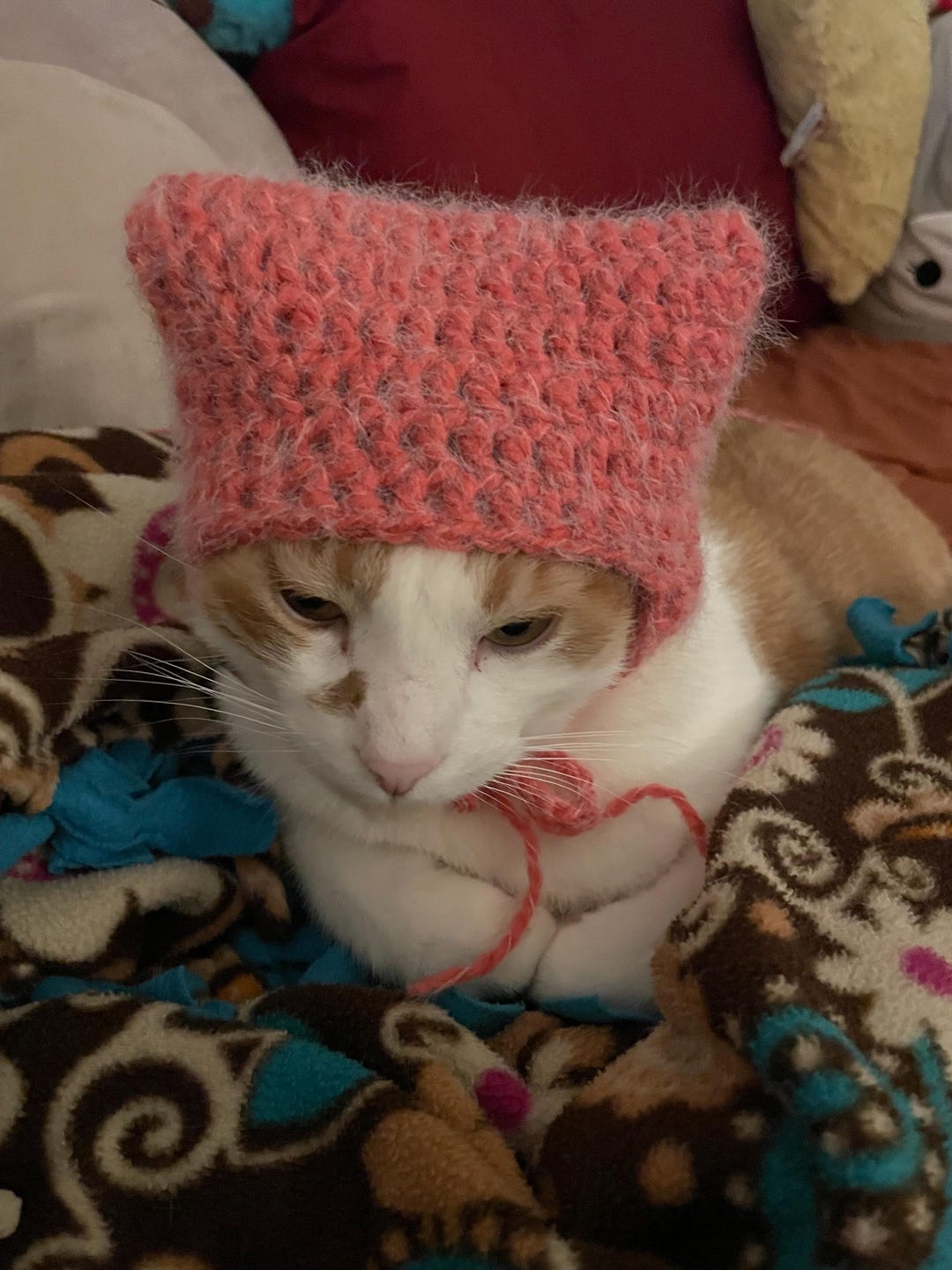 Cat Beanie Crochet PATTERN - Etsy