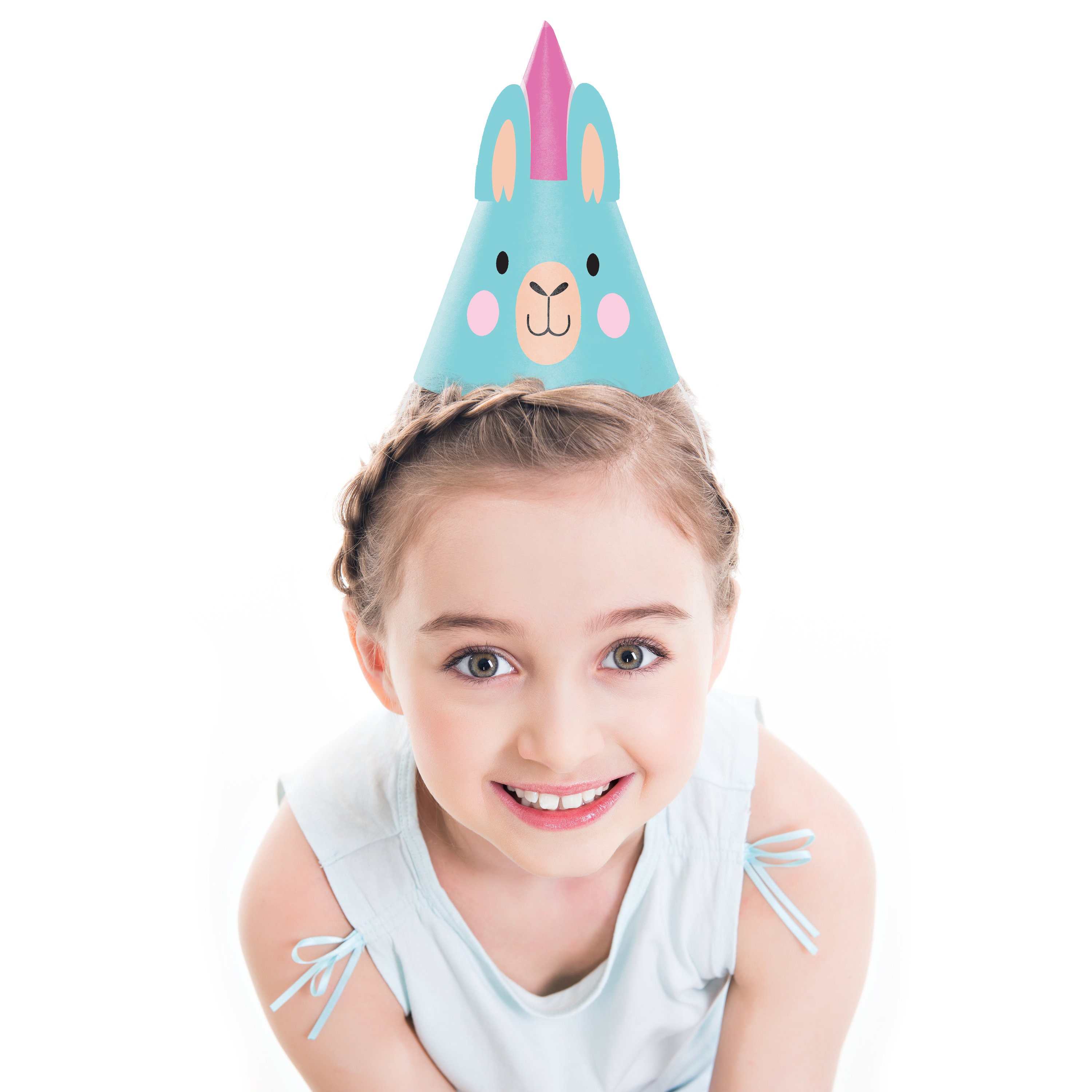 8 Llama Hats Llama Party Hats Llama Decor Llama Birthday | Etsy