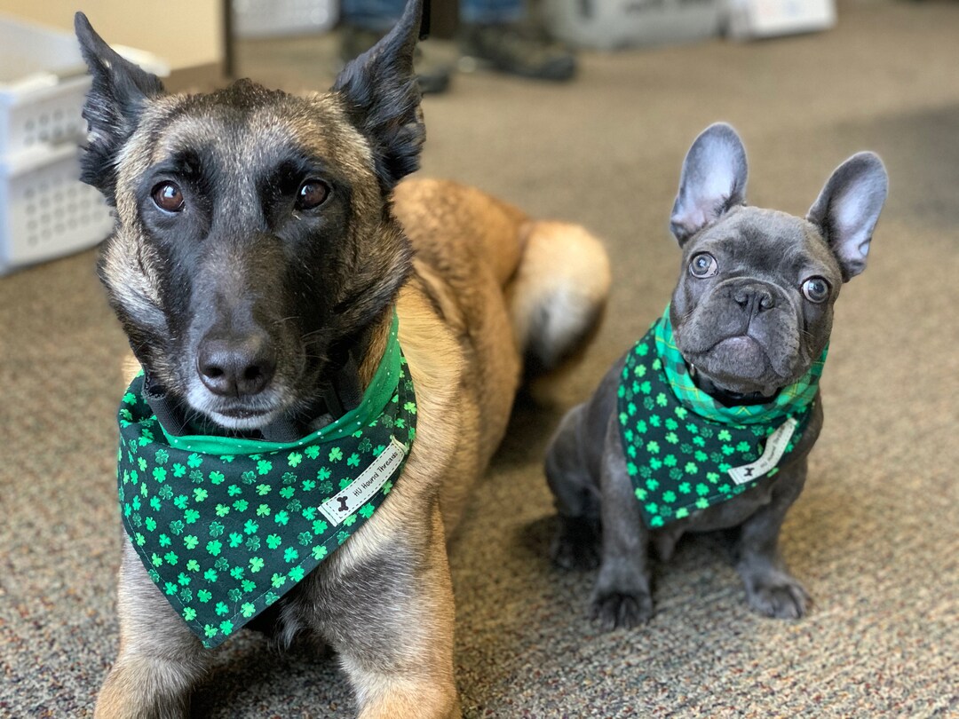 Shamrock HU Rag (bandana) Multiple Sizes - Etsy