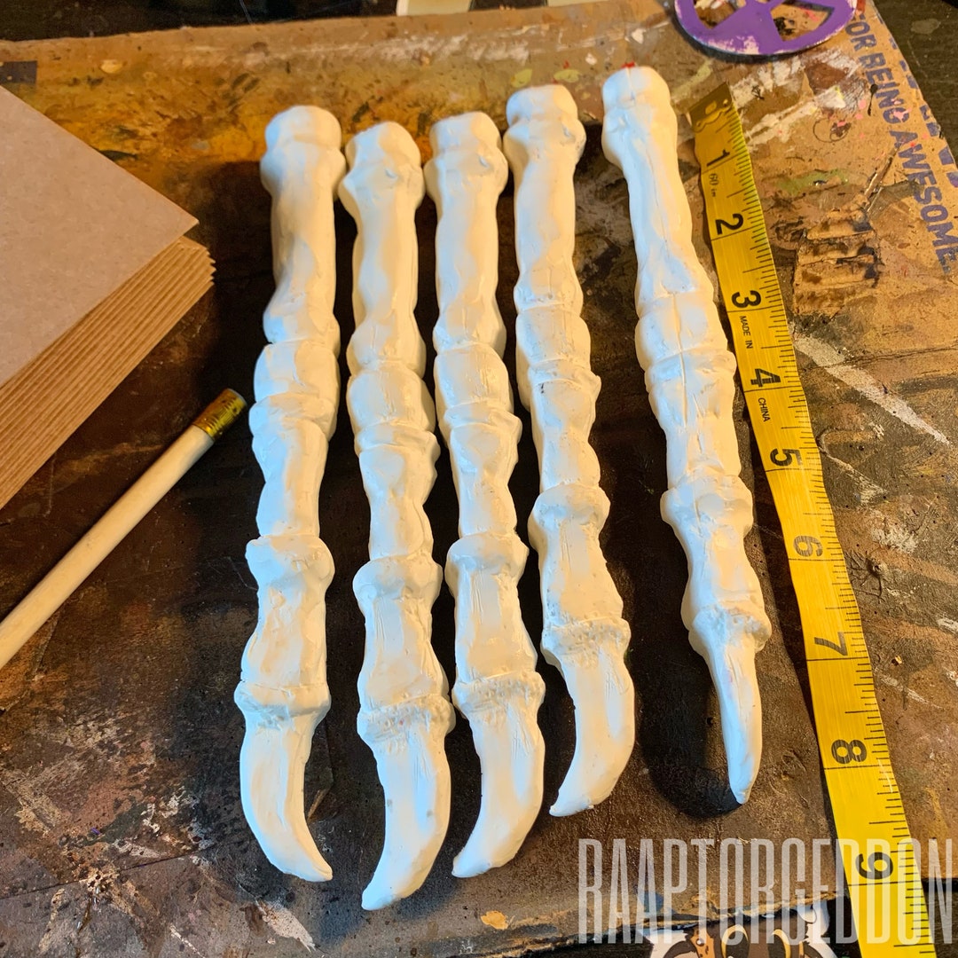 Raw Cast Finger Claw Bone - Etsy
