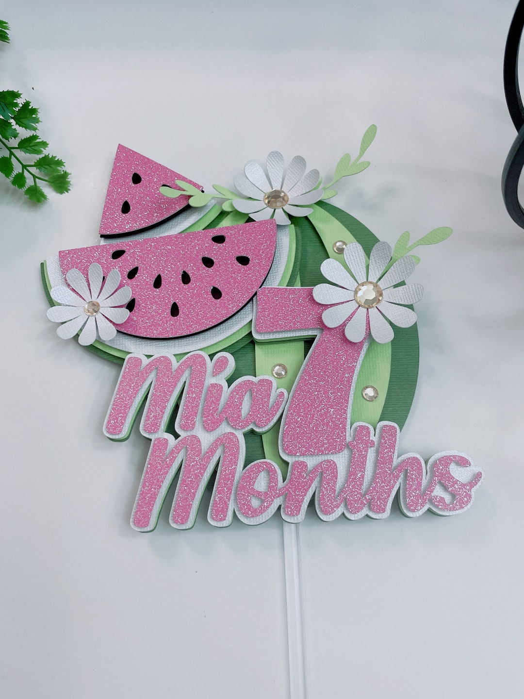 One in a Melon Cake Topper. Cake Topper First Birthday - Etsy