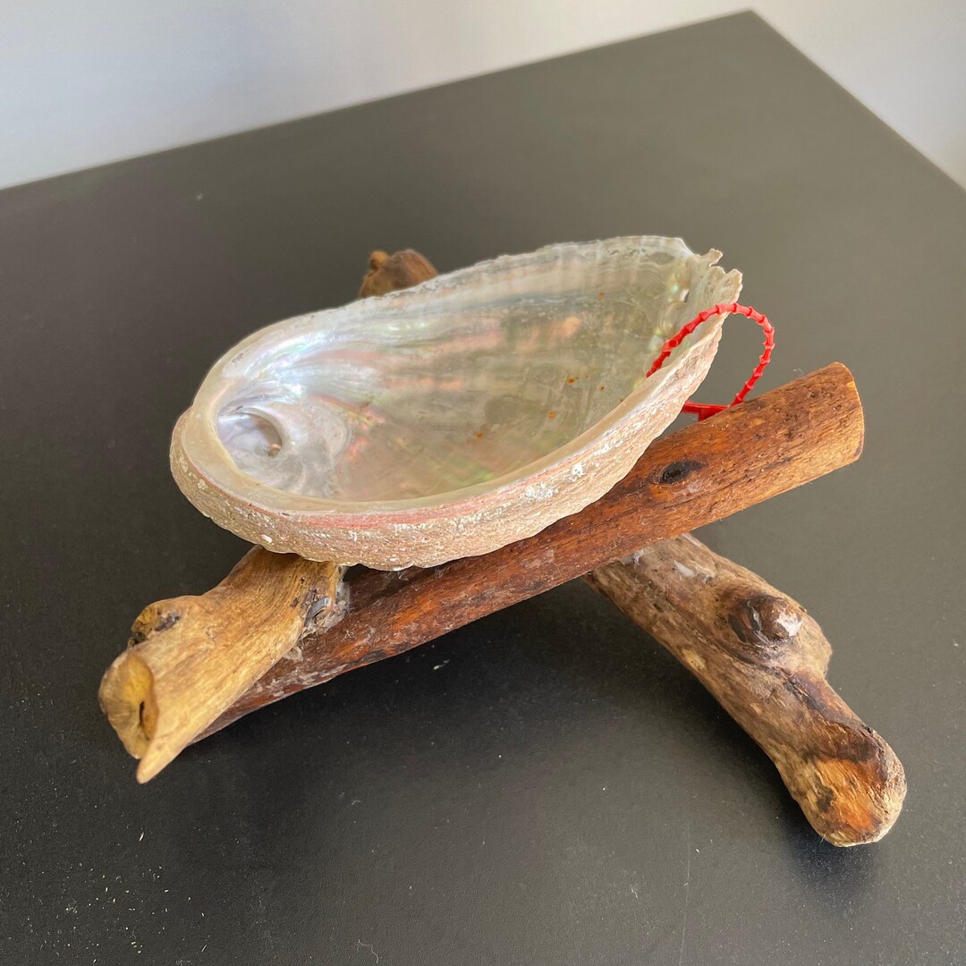 Large Abalone Shell With Stand Abalone Shell Wood Stand Abalone ...