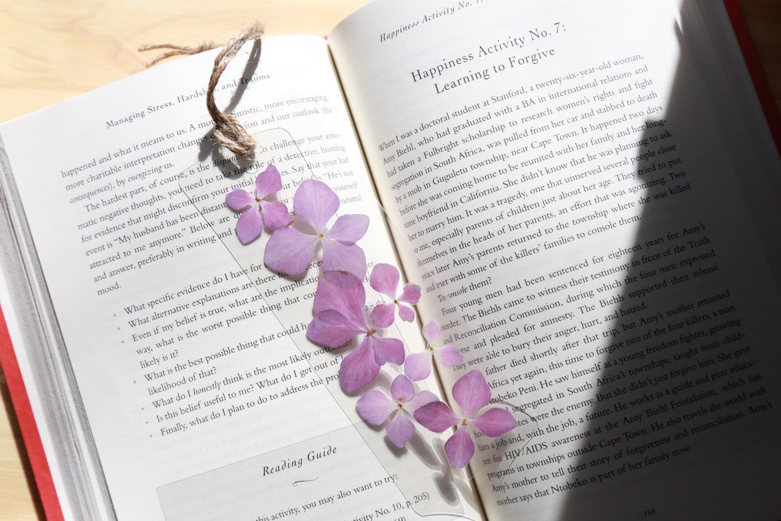 REAL Dried Pressed Flower Bookmark With Daisies Wildflowers - Etsy