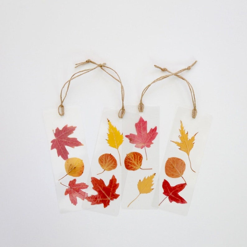 Real Dried Pressed Fall Leaf Bookmark, Pressed Flowers, Autumn Book ...