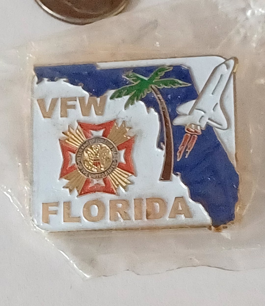 VFW Veterans of Foreign Wars of the United States of America Space ...