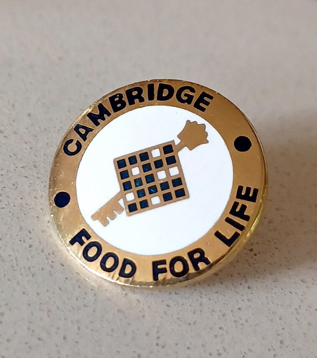 Vintage Cambridge University Food for Life Lapel Hat Tie Pin Souvenir ...