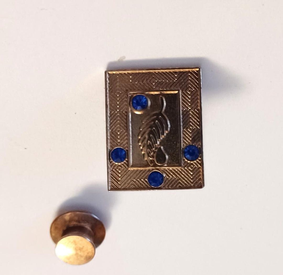 Vintage New Zealand Fern Raindrop Four Blue Gemstones Employee Merit ...