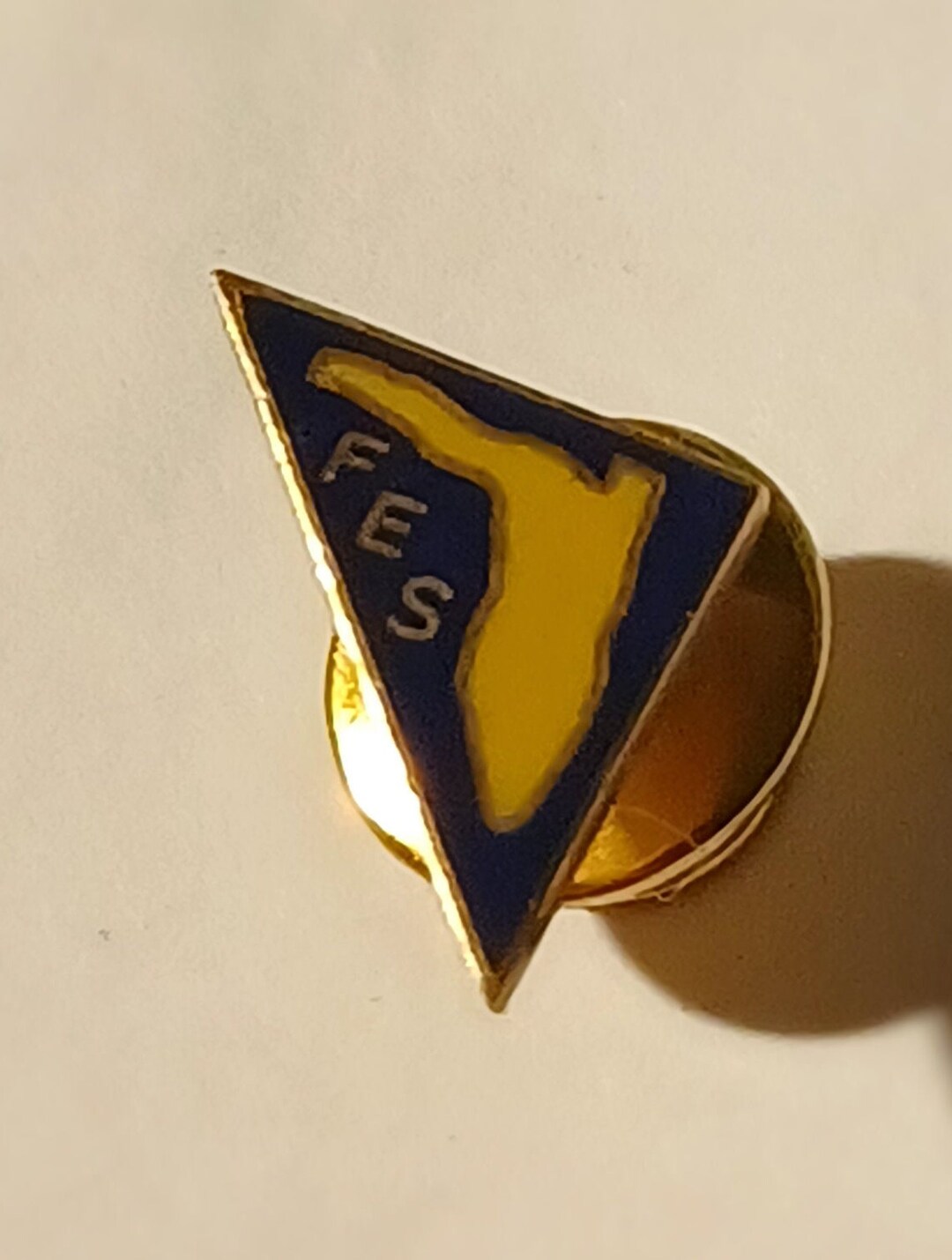 FES Florida Engineering Society 10k Gold Blue Enamel Lapel Hat Tie Pin ...
