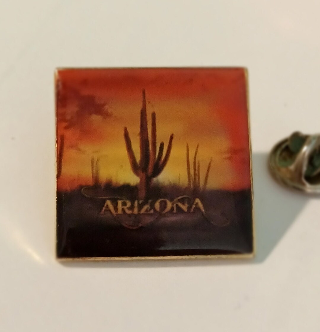 Arizona Desert Cactus Sunset Lapel/hat Pin Souvenir 1247 - Etsy