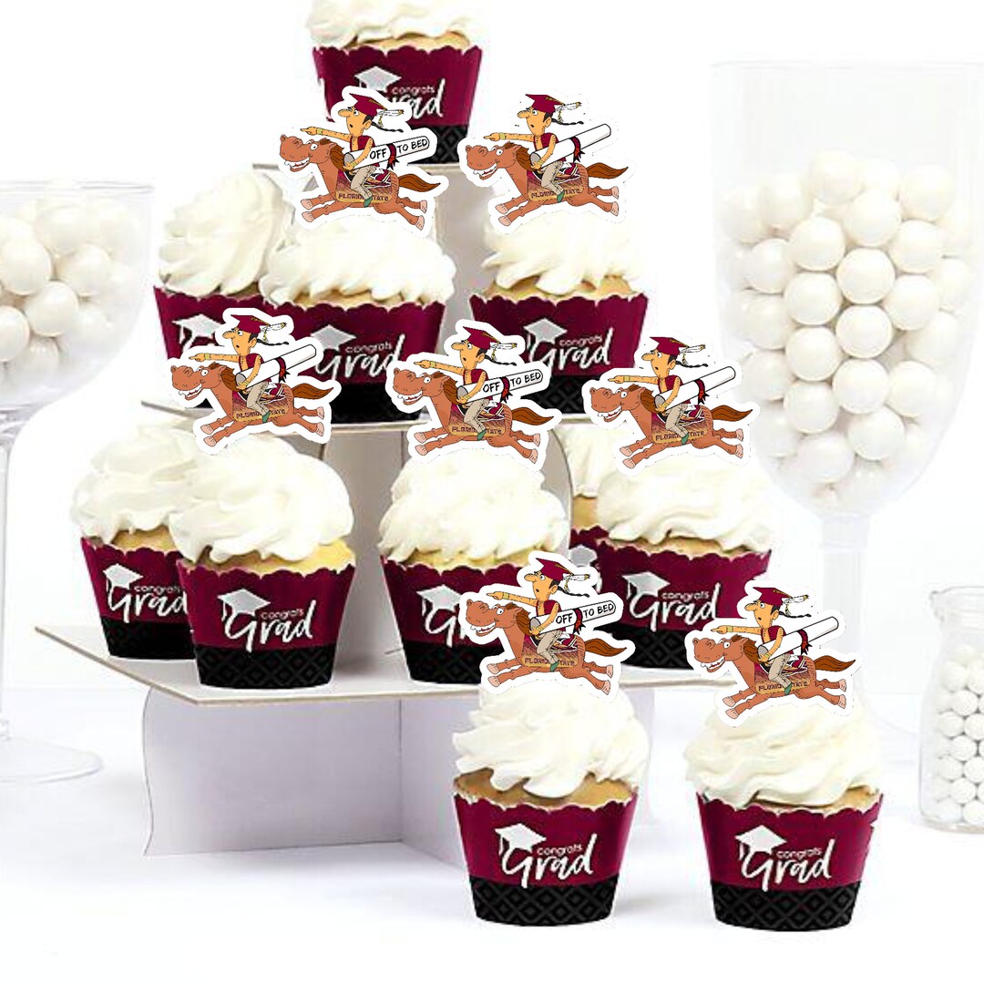 Personalized FSU Noles Graduation Cupcake Toppers Florida State ...