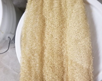 African Loofah - Etsy