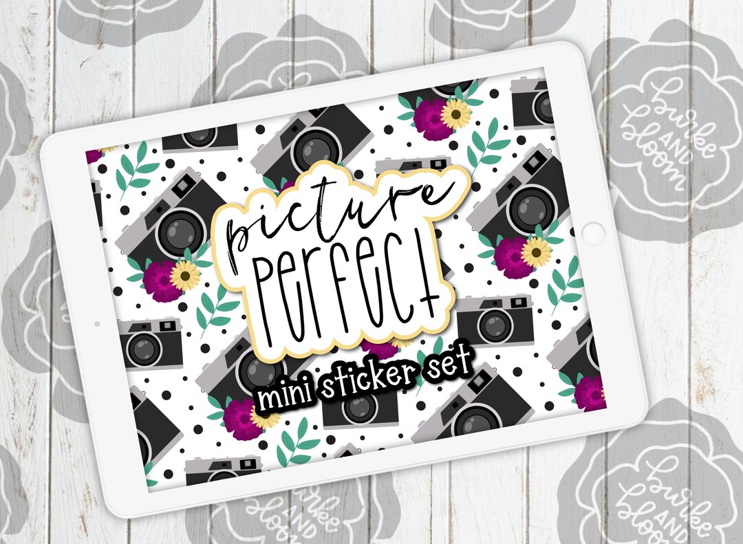 Picture Perfect Mini Digital Sticker Set, Planner Stickers, Goodnotes ...