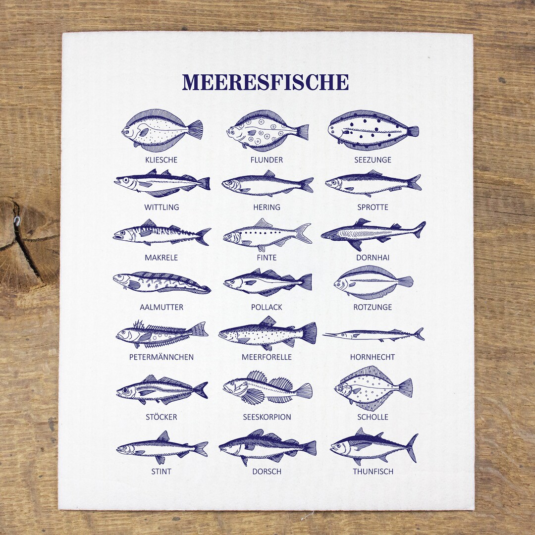 Sponge Cloth Marine Fish – 70 Percent Cellulose 30 Percent Cotton ...