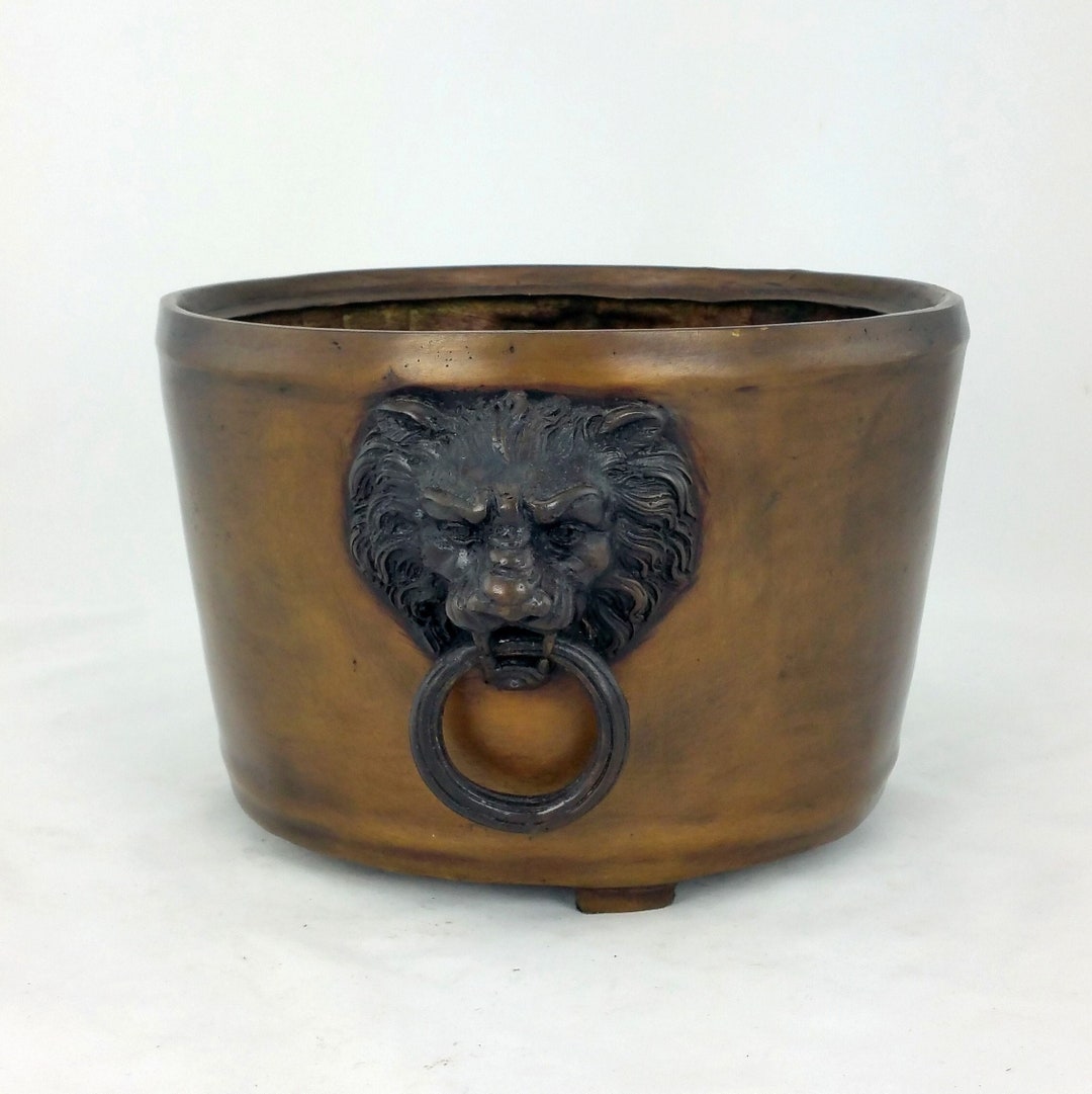 Bronze Bucket With Lion Head Rings - Etsy