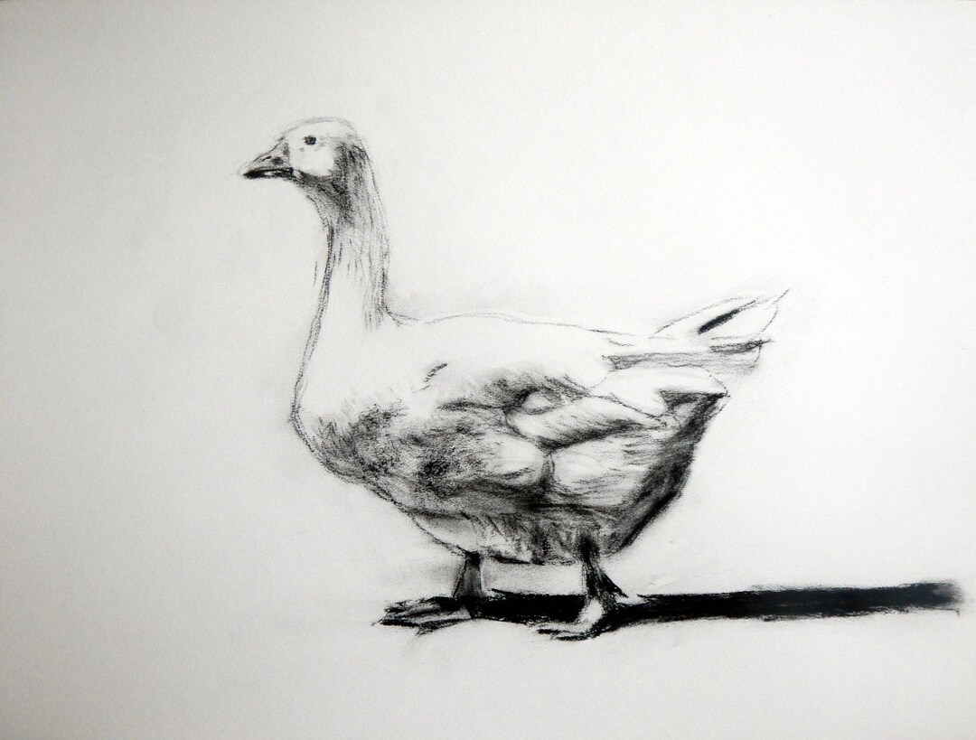 Original Goose Charcoal Drawing: Black and White Bird Art - Etsy