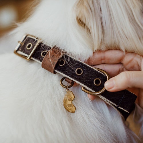 Leather Dog Collar Snap on for Quick Release Brass Real | Etsy