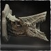 Arrowhead Dragon Head Mount - Etsy