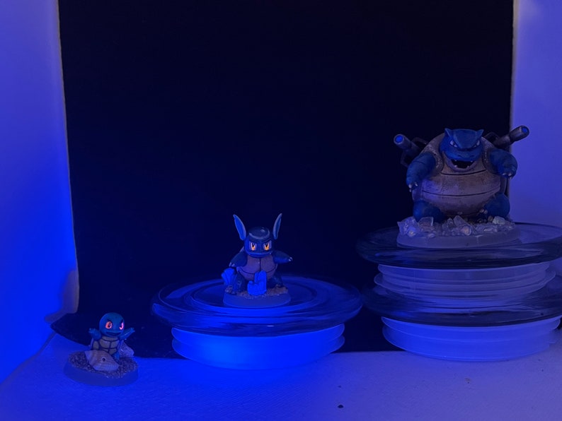 Squirtle Evolution Line - Etsy