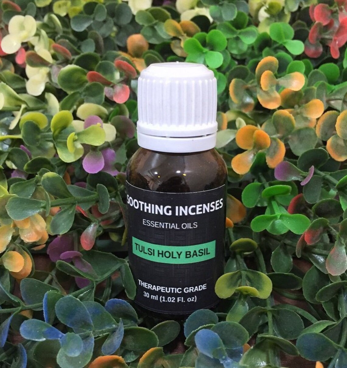 Tulsi Holy Basil Essential Oils Pure Natural Aromatherapy - Etsy