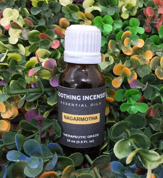 Nagarmotha Essential Oils Pure Natural Aromatherapy Massage - Etsy