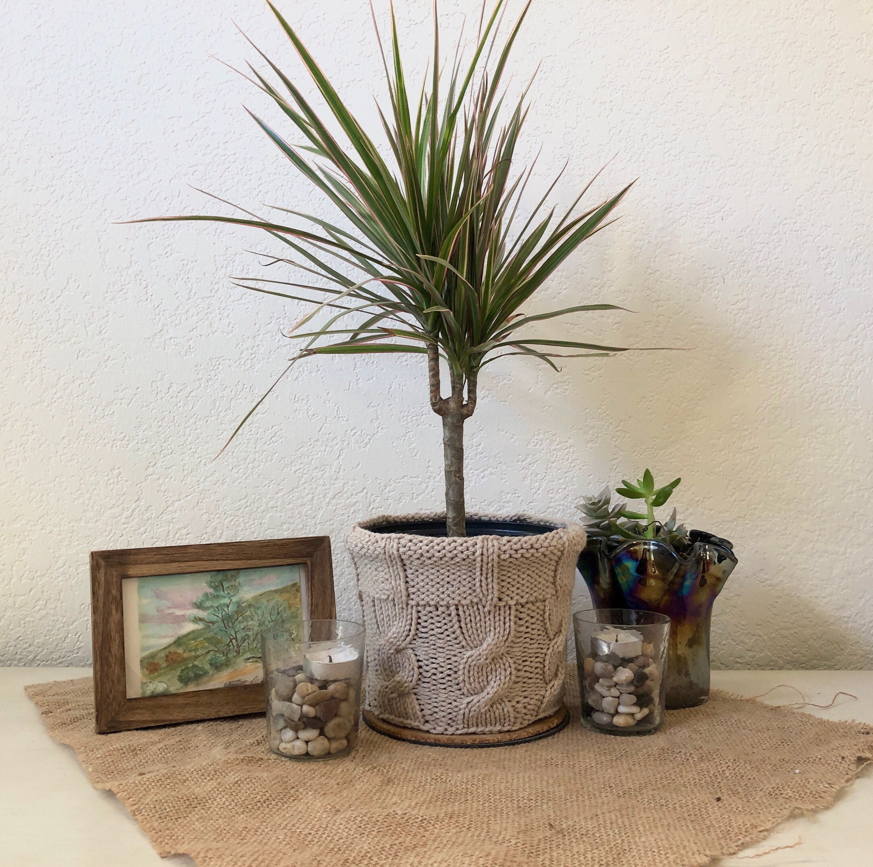 Plant Sweater planter Cozy - Etsy Sweden