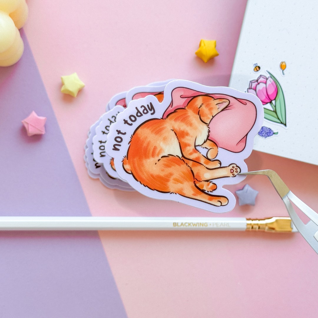Not Today Cat Sticker | Funny Meme Kitty, Bujo Planner - Etsy
