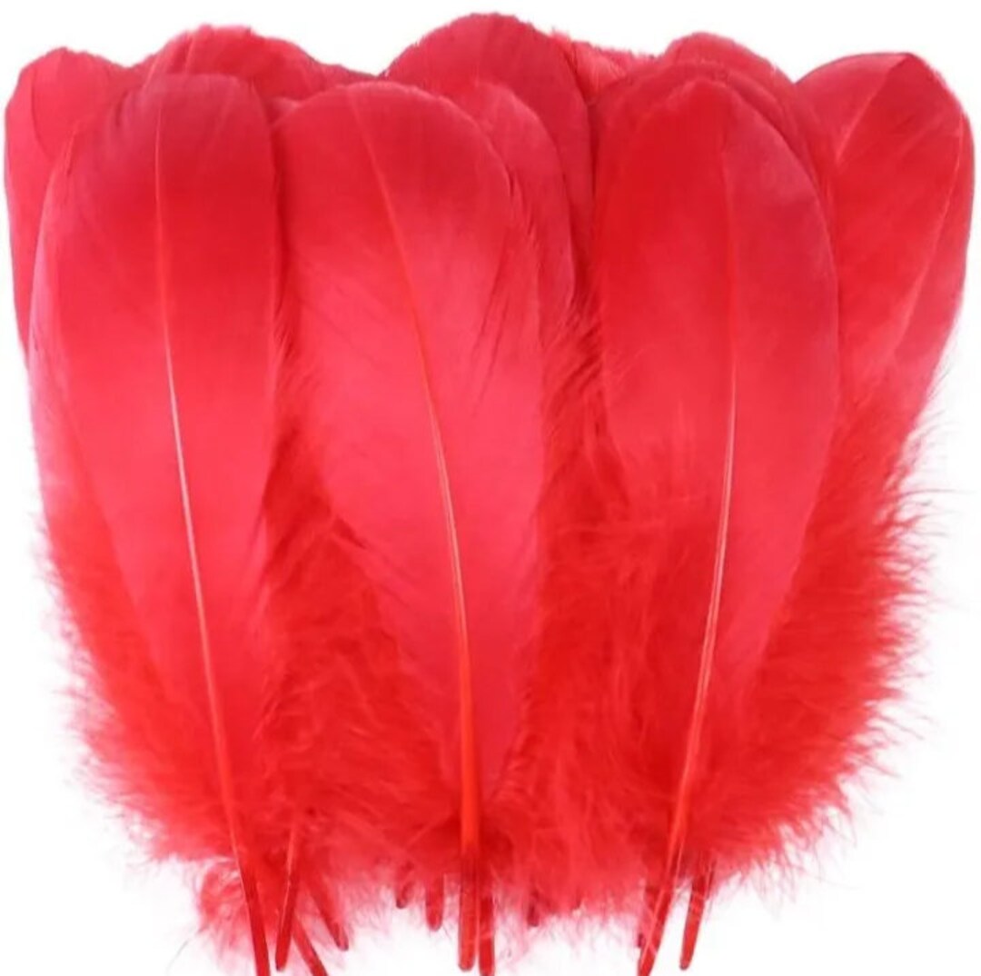 Beautiful Red Goose Feathers X 10 Pieces - Etsy Canada