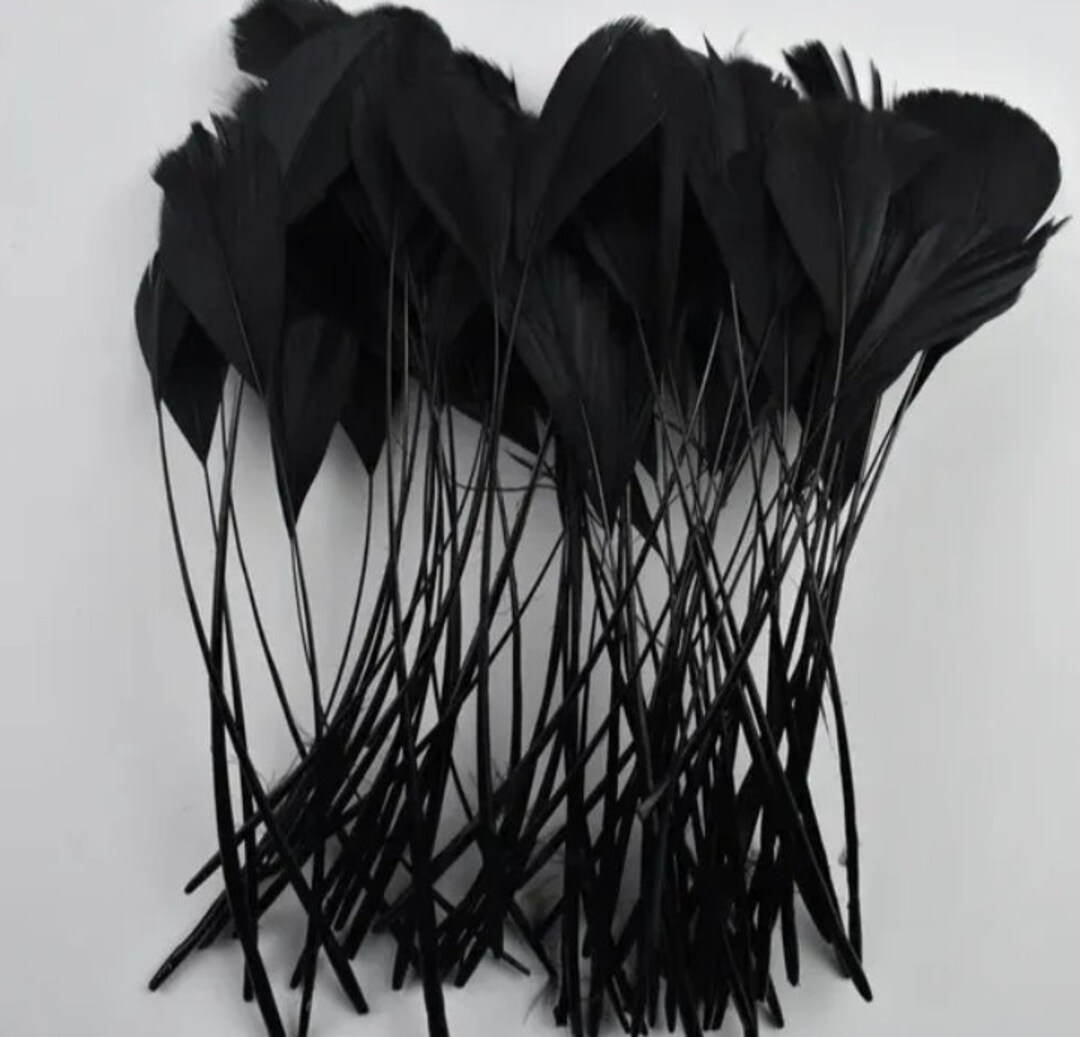Beautiful Black Stripped Coque Feathers X 10 Pieces - Etsy