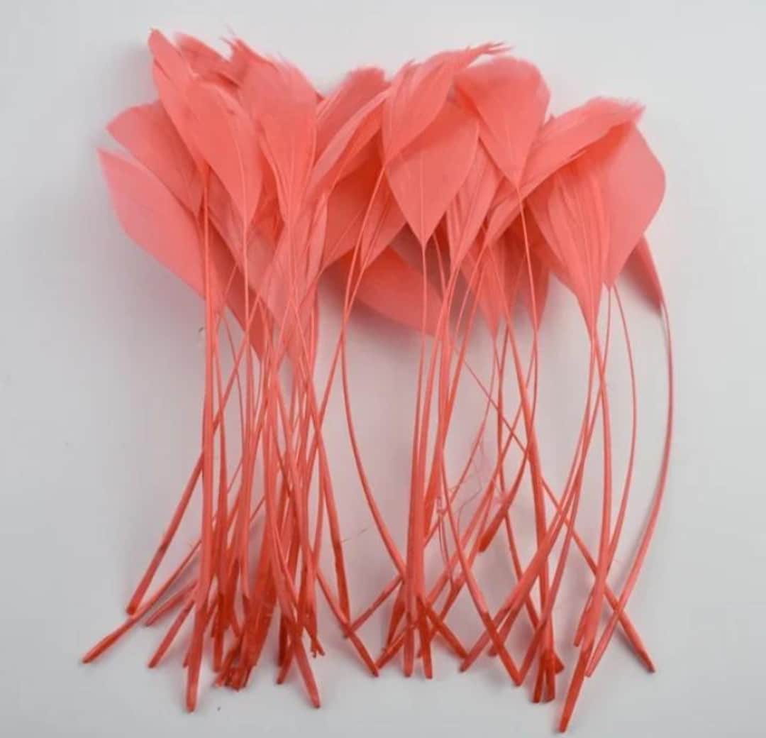 Beautiful Coral Stripped Coque Feathers X 10 Pieces - Etsy