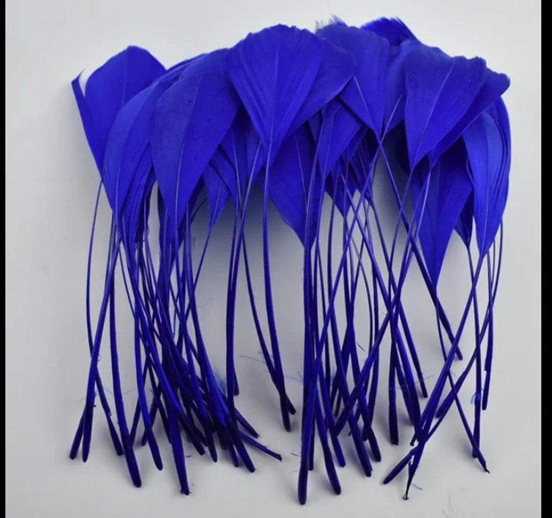 Beautiful Royal Blue Stripped Coque Feathers X 10 Pieces - Etsy