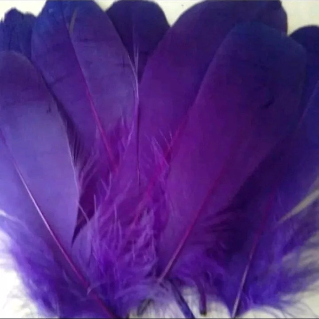 Beautiful Purple Goose Feathers X 10 Pieces - Etsy