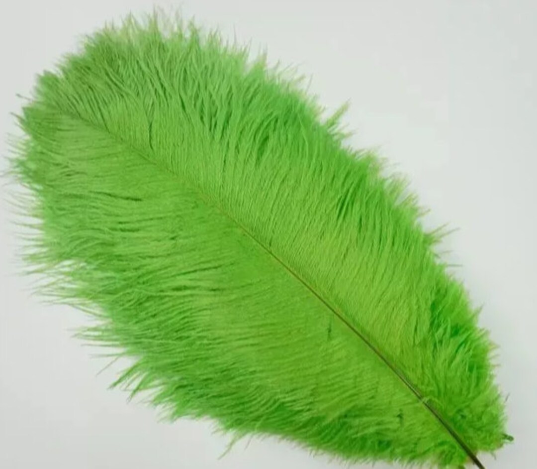 Beautiful Bright Green Ostrich Feathers X 5 Pieces - Etsy