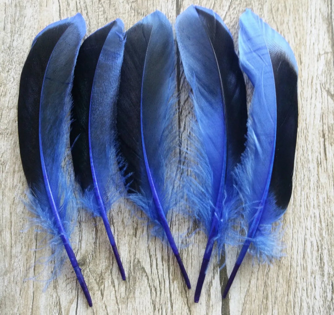 Beautiful Blue Duck Feathers X 10 Pieces - Etsy