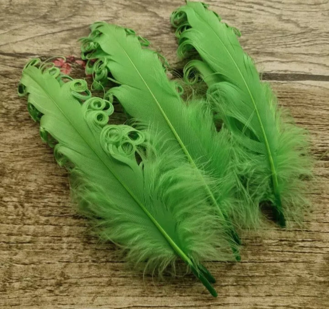 Beautiful Bright Green Curly Goose Feathers X 5 Pieces - Etsy