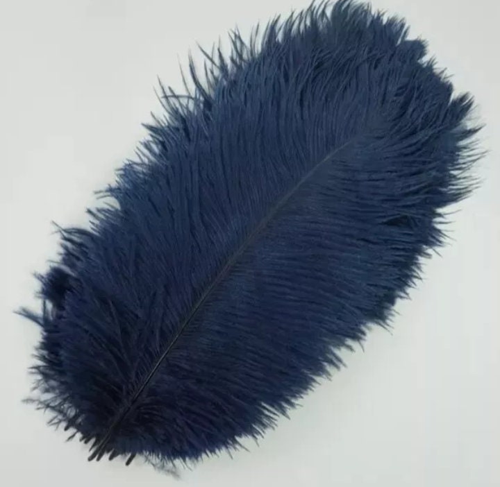Navy ostrich feathers store