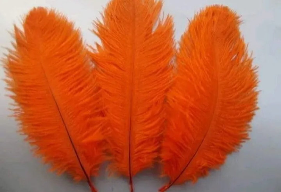 Beautiful Orange Ostrich Feathers X 5 Pieces - Etsy