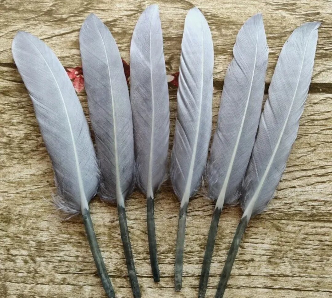 Beautiful Light Grey Small Goose Feathers X 10 Pieces - Etsy