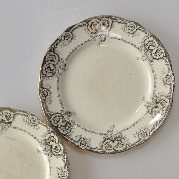 Antique China Plates - Etsy