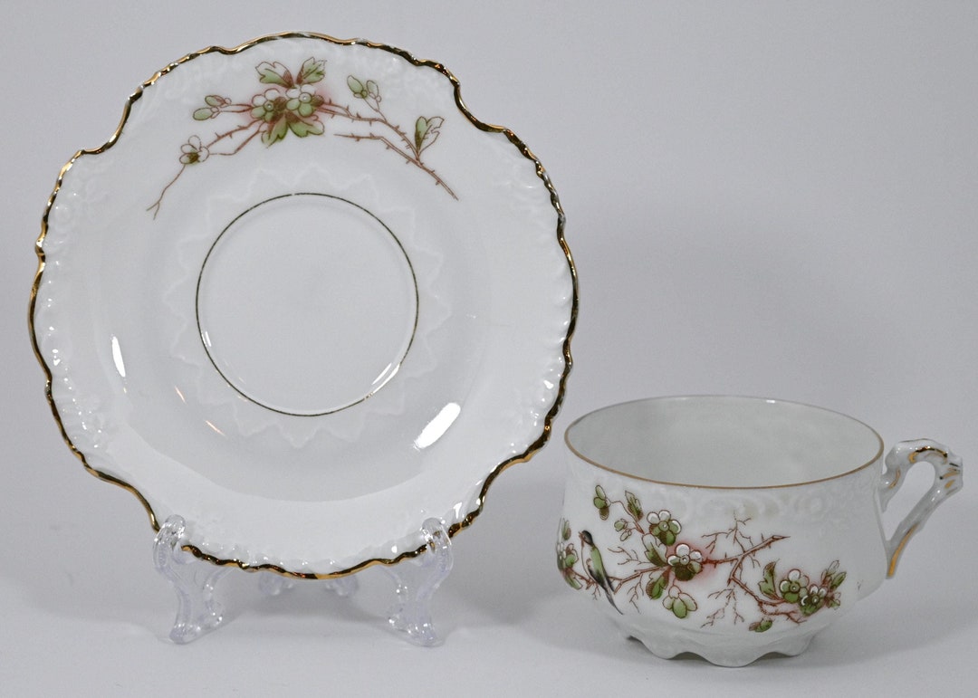 1920s Fine China Antique Cup and Saucer Hermann Ohme Silesia Germany - Etsy