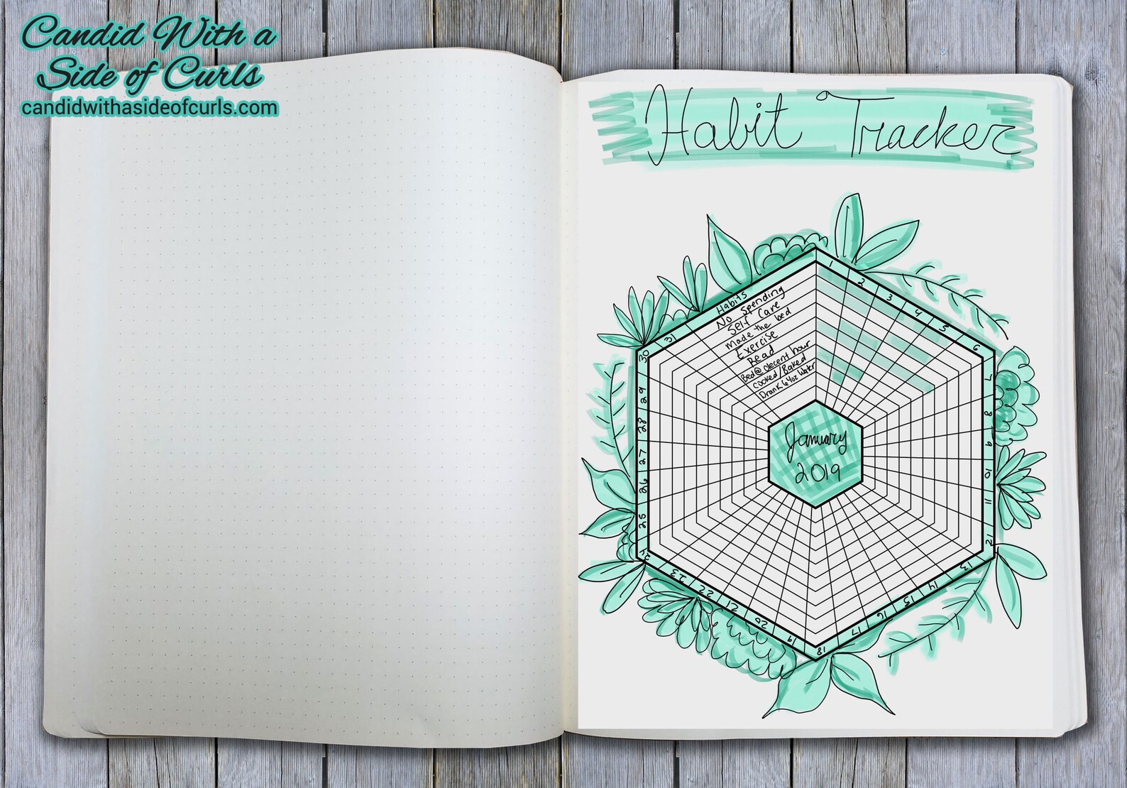 Hexagon Habit Tracker Bullet Journal Printable JPEG Images - Etsy