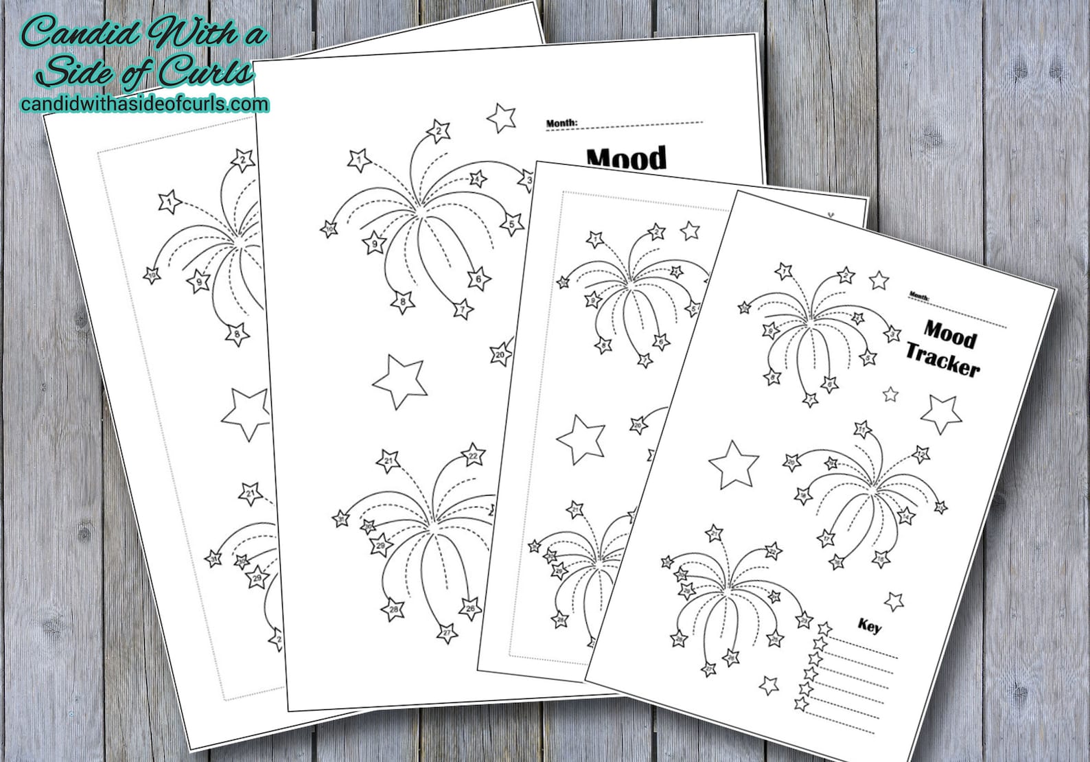 Fireworks Monthly Mood Tracker Bullet Journal-printable Pages - Etsy