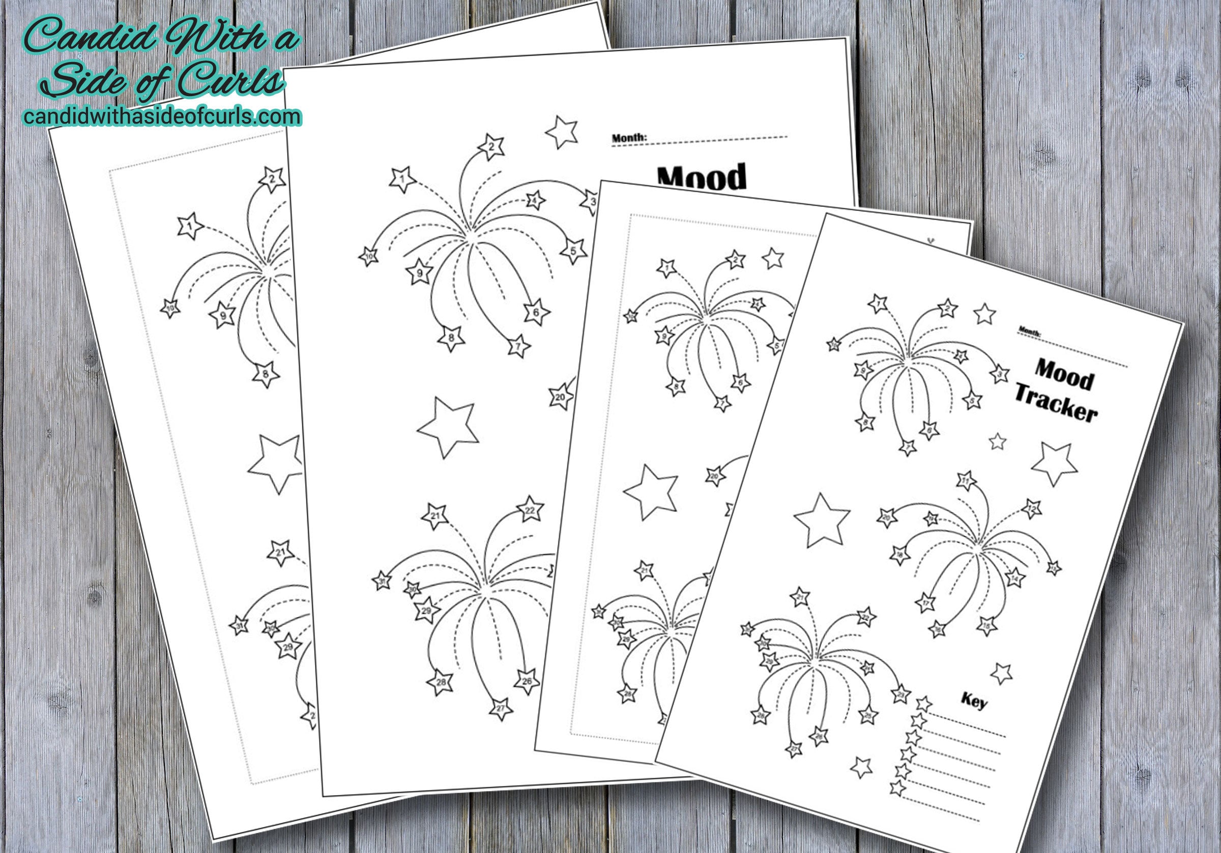 Fireworks Monthly Mood Tracker Bullet Journal-printable Pages - Etsy