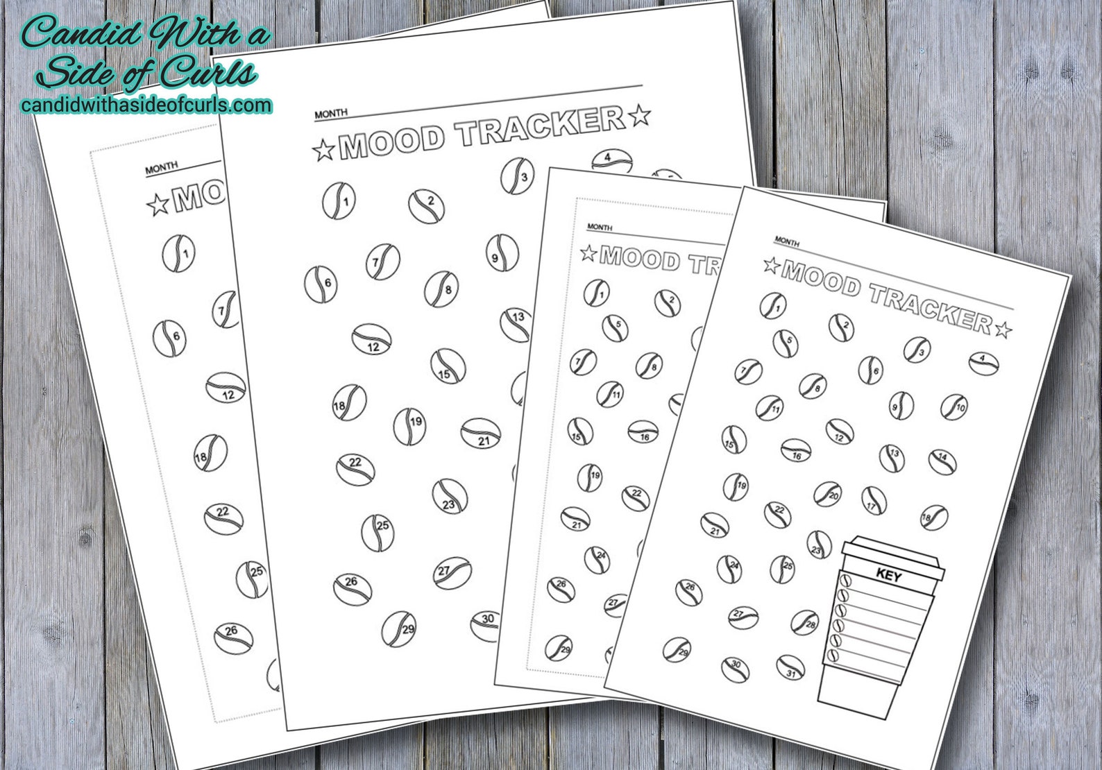 Coffee Bean Monthly Mood Tracker Bullet Journal-printable Pages - Etsy