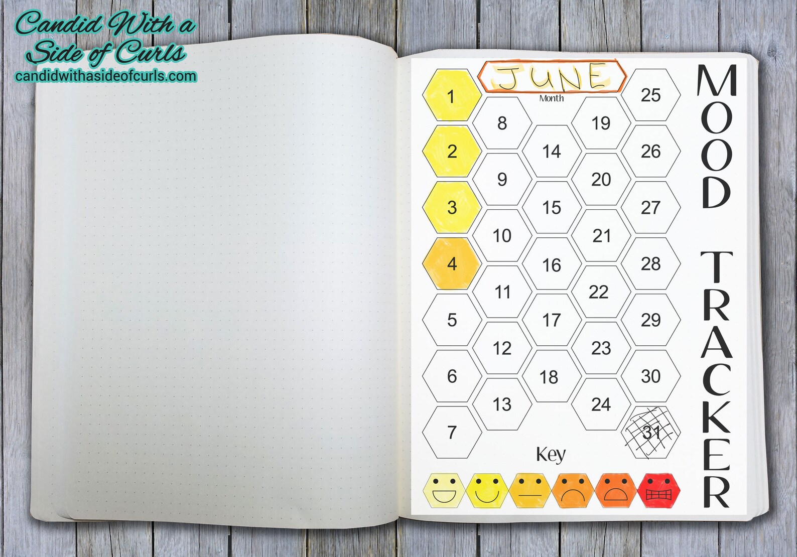 Hexagon Monthly Mood Tracker Bullet Journal-printable Pages - Etsy