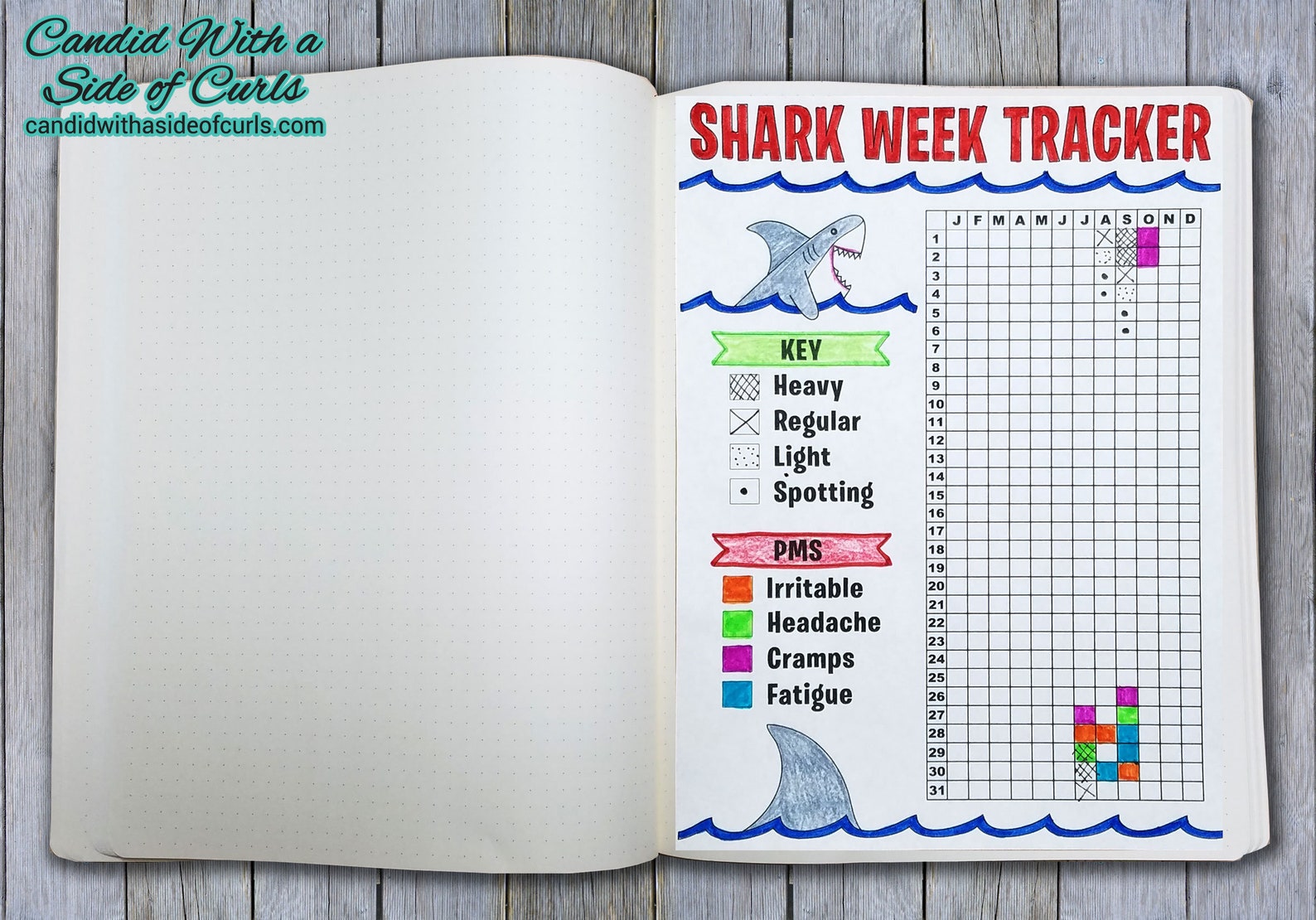 Shark Week Tracker Bullet Journal-printable Pages - Etsy