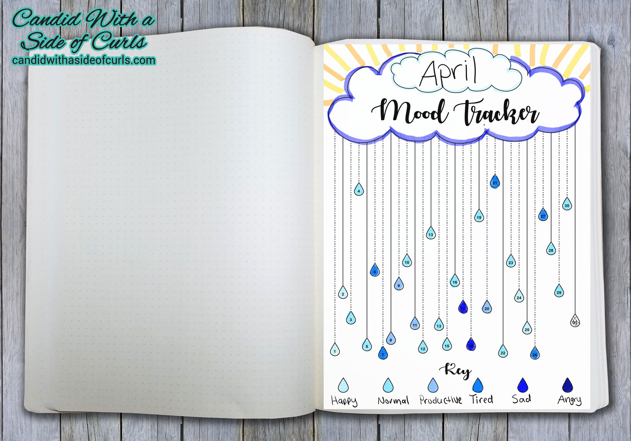 Rain Cloud Monthly Mood Tracker Bullet Journal-printable Pages - Etsy