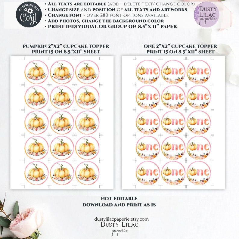 Editable Pumpkin Cupcake Topper Printable Fall Pumpkin 1st | Etsy